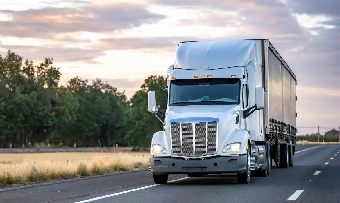 Cargo Vehicle Sales at Their Peak: Pre-Purchase Effect? - T21