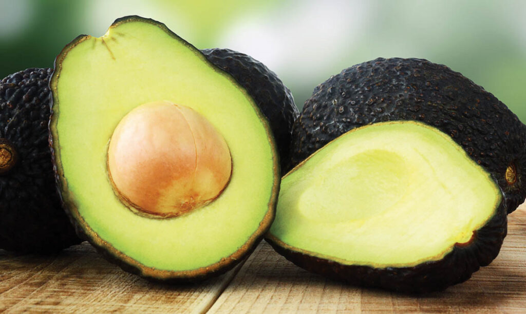 Avocado from Jalisco, expansion in the international market - T21